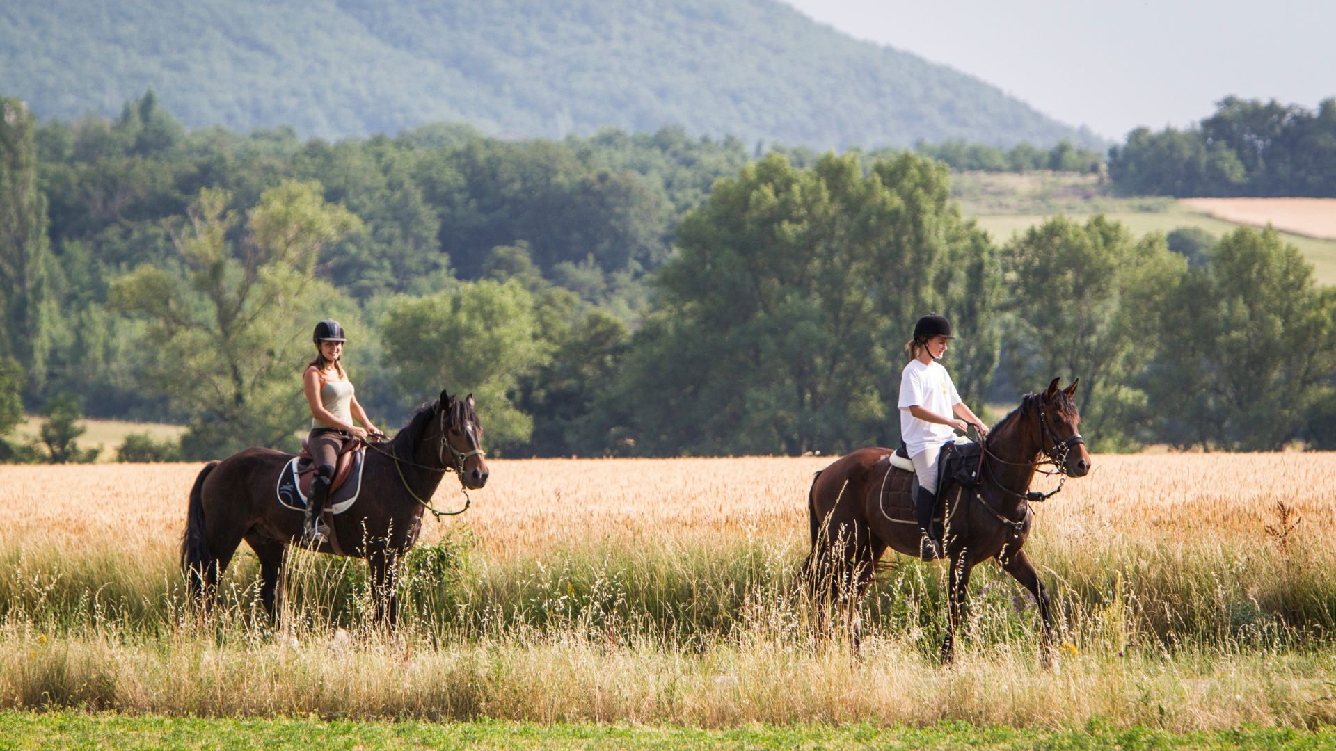 GeoCheval, l’idéale pour des aventures équestres inoubliables ...