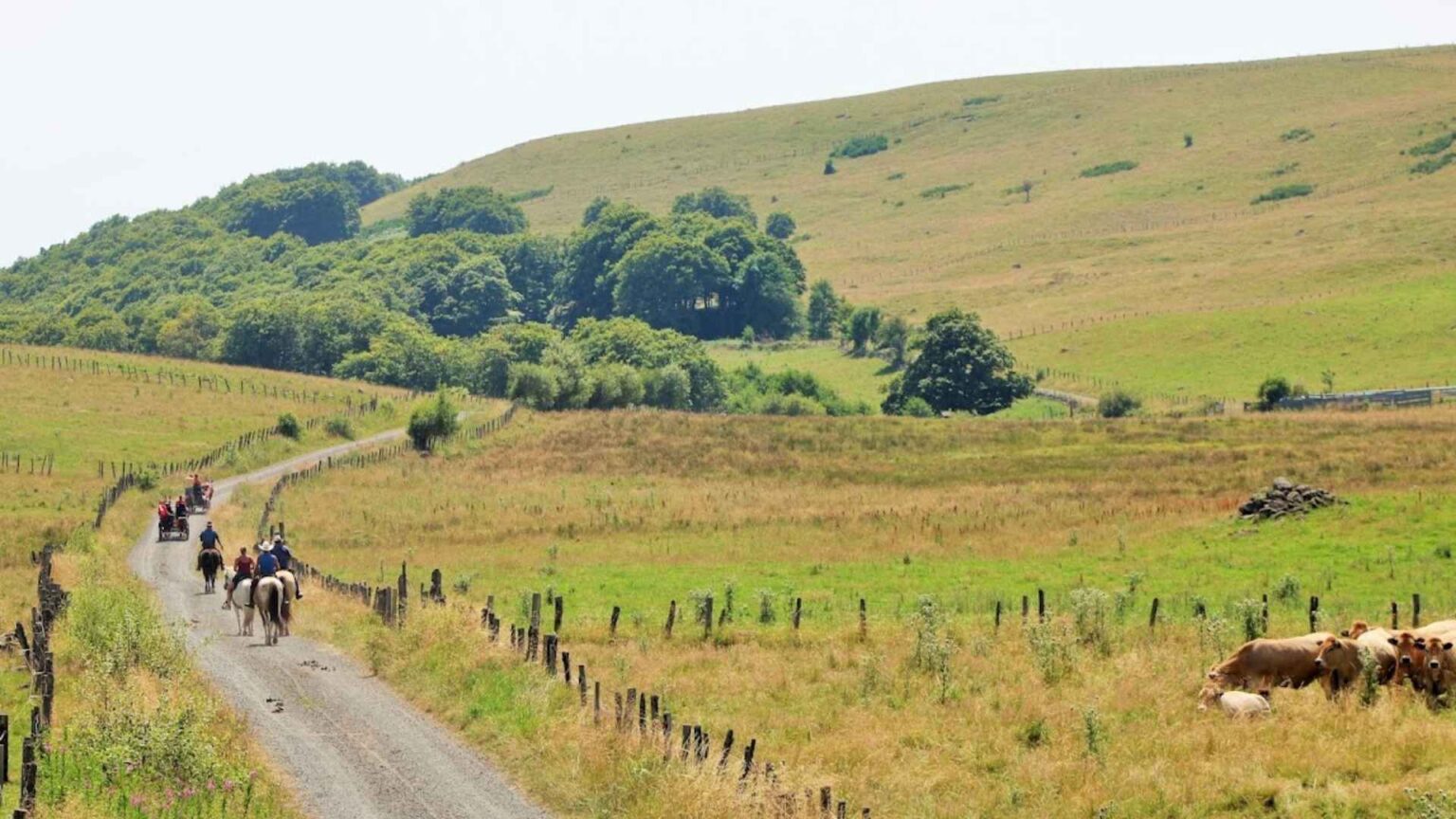 GeoCheval, l’idéale pour des aventures équestres inoubliables ...