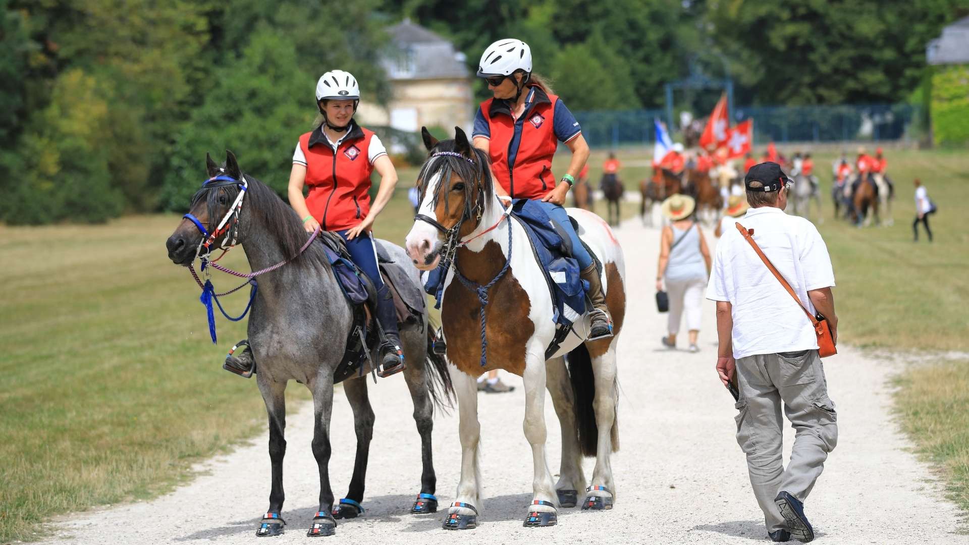 1000ème DUM : Un Succès pour le Tourisme Équestre - Cheval Nature