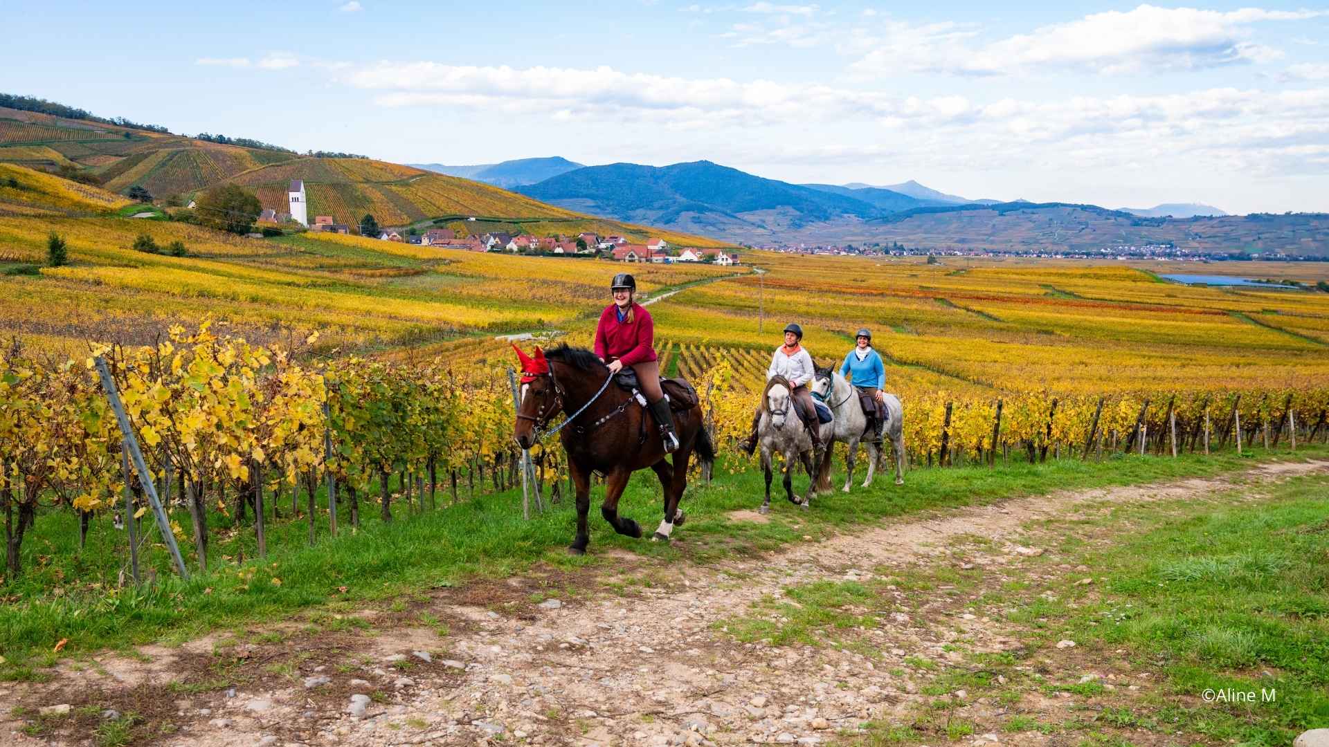 Les bons réflexes pour randonner respectueusement - Cheval Nature