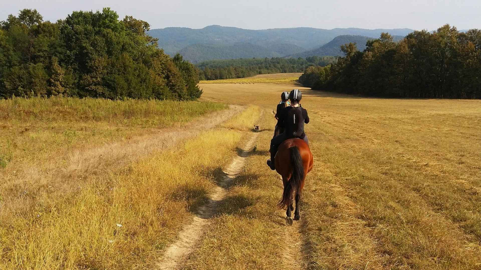 Valorisation des sports de nature - Cheval Nature